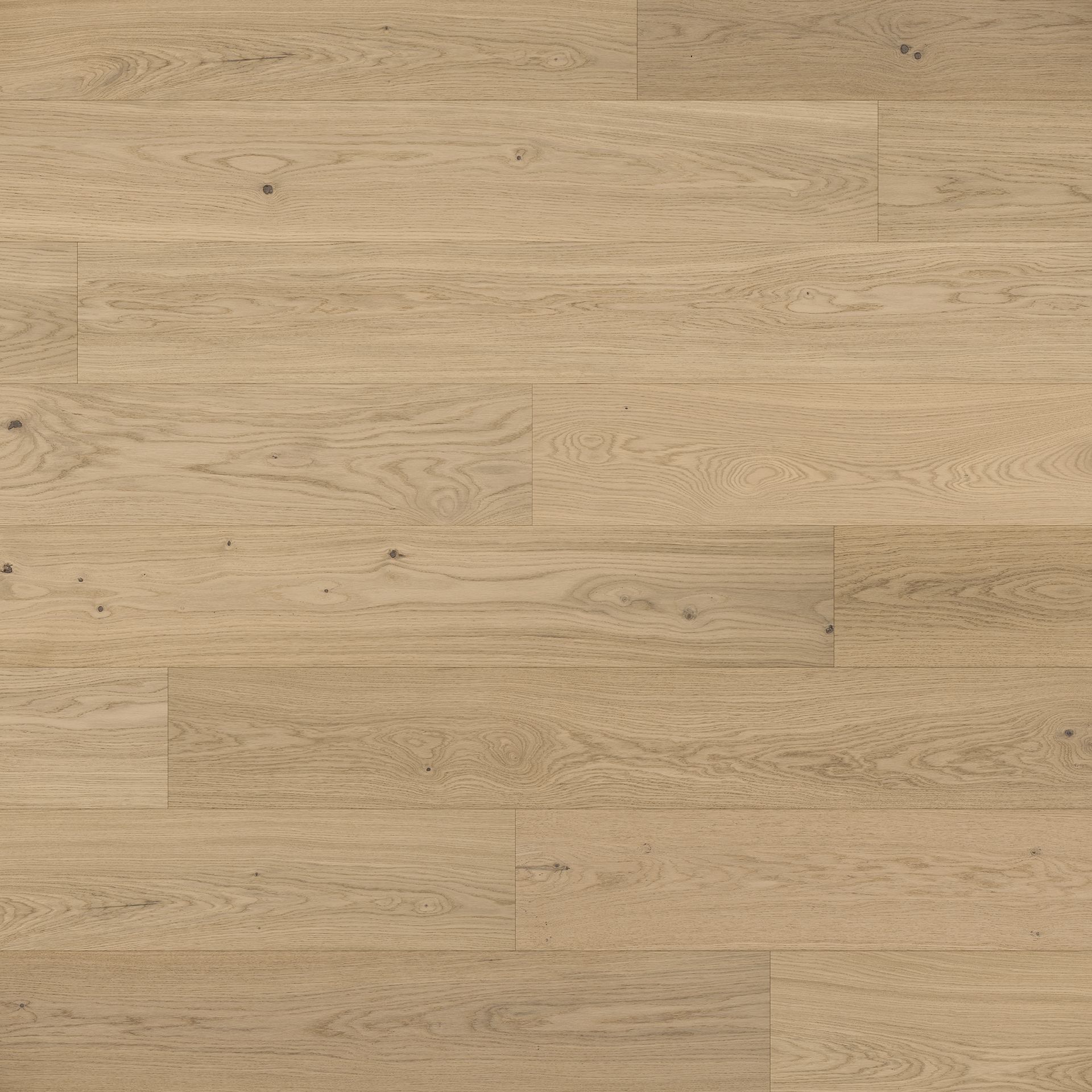 Parky Deluxe+ Milk Oak Premium | Milk Oak | Premium | Parky Deluxe+ Milk Oak Premium