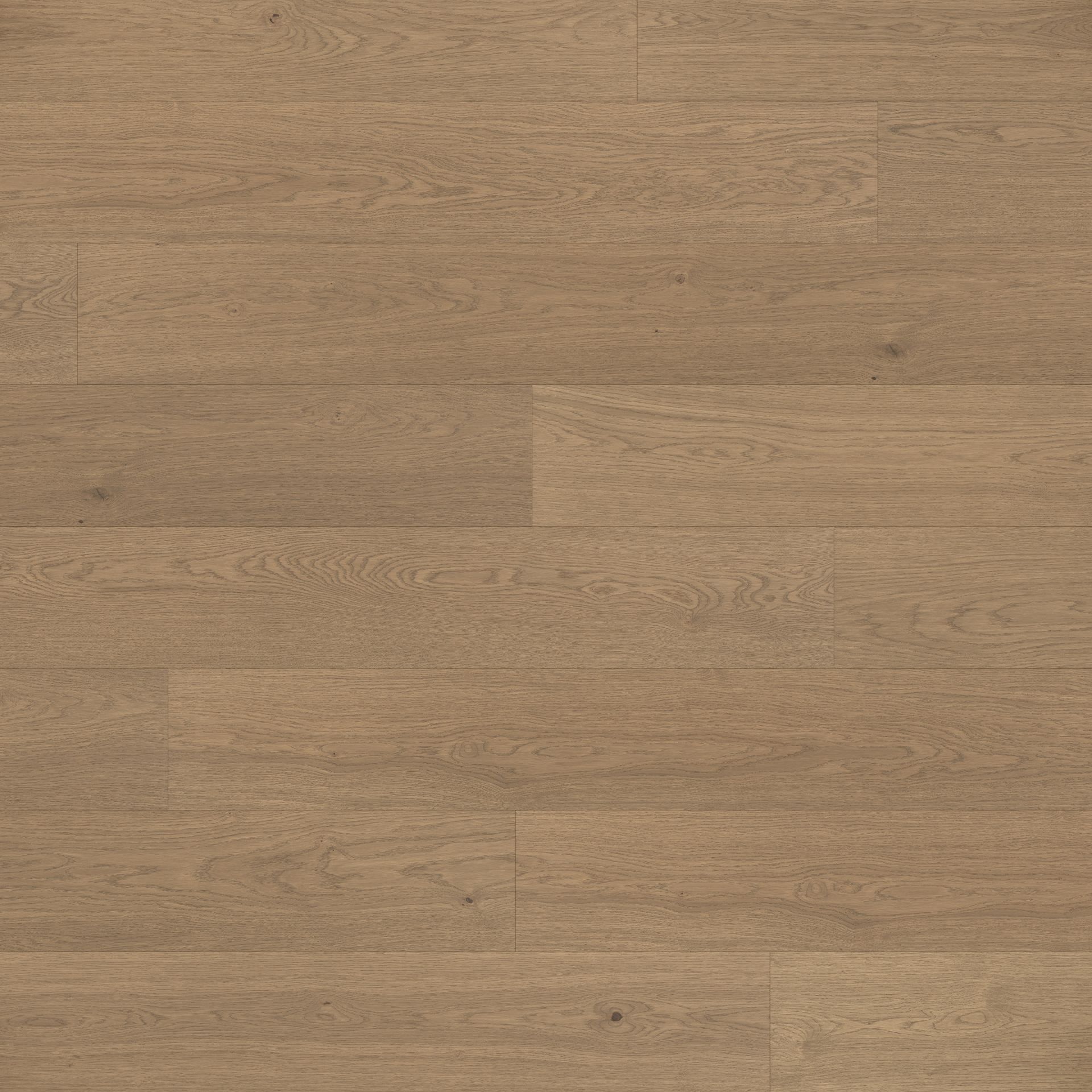 Parky Summit Sahara Oak Rustic Light | Sahara Oak | Rustic Light ...